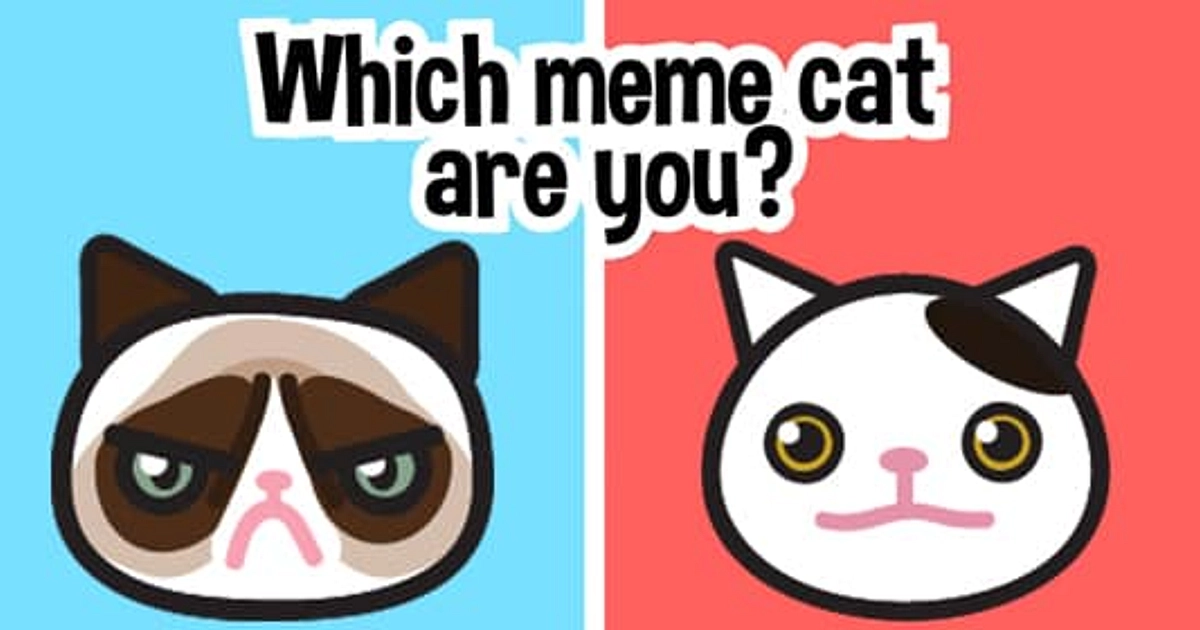 Which meme cat are you - Jeu Gratuit en Ligne | FunnyGames