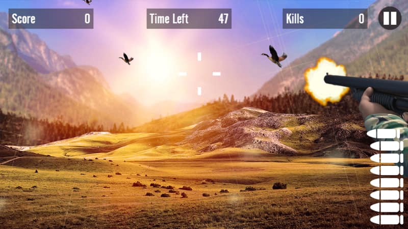 Duck Hunter - Jeu Gratuit en Ligne | FunnyGames